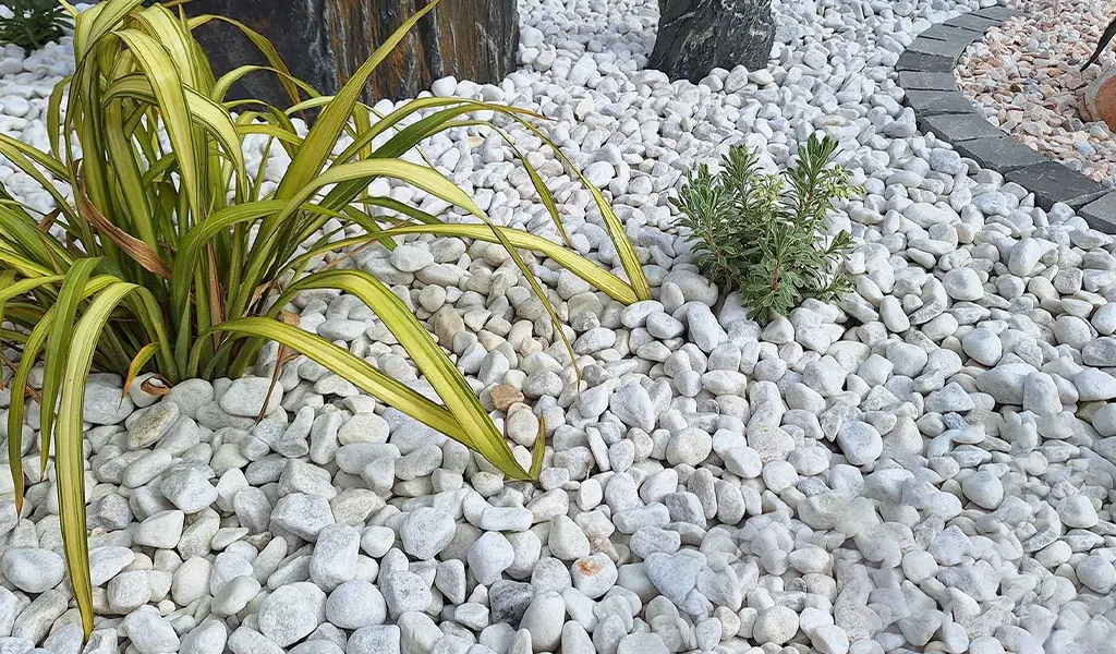Crystal White Pebbles Supplier | MPG Stone