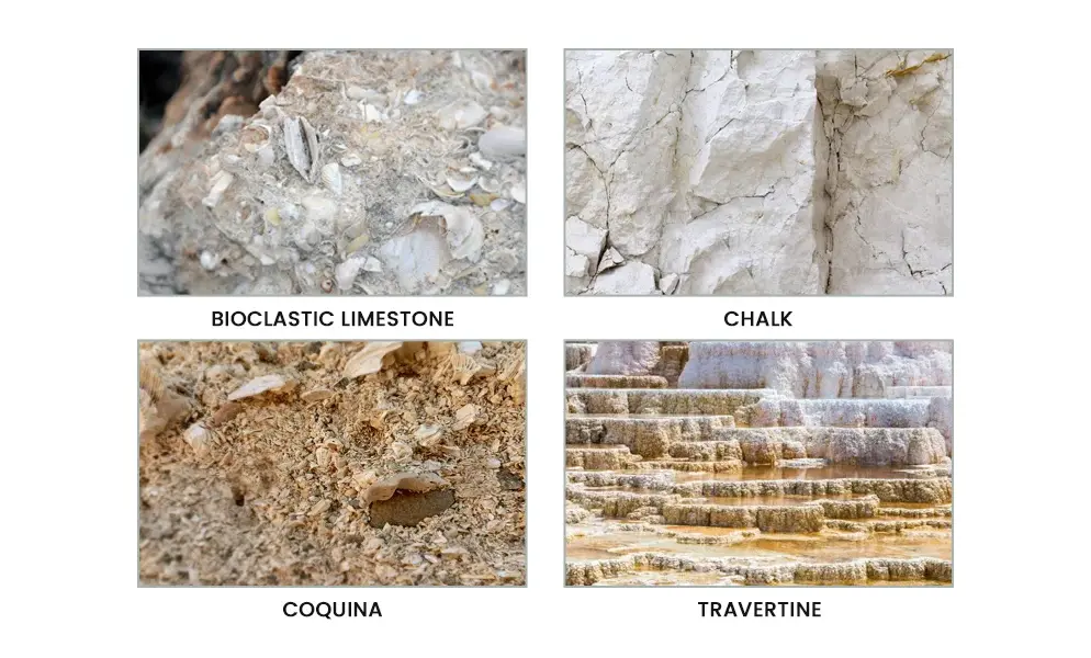 What type of rock is limestone? Understand in detail | MPG Stone